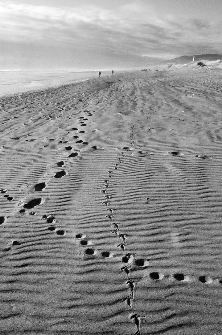 Revealing line – Jan Anderson-Paxson Photography
